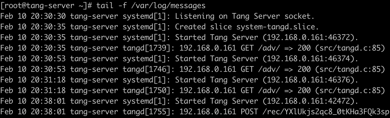 Network Bound Disk Encryption Tang Clevis